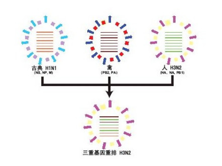 甲型H3N2流感_百度百科