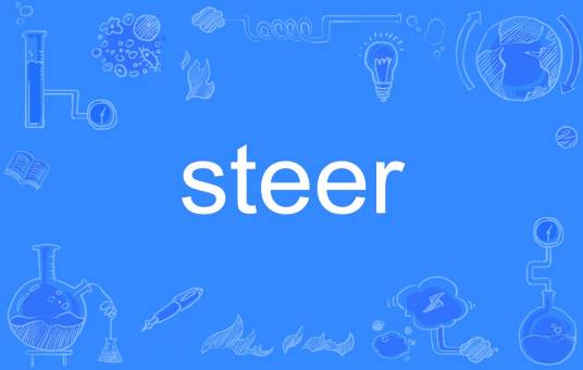 steer_百度百科