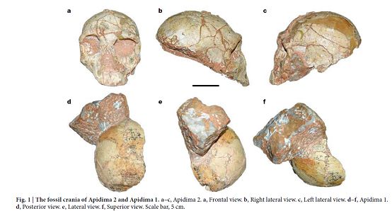 希腊发现亚欧大陆最早的智人化石_百科TA说