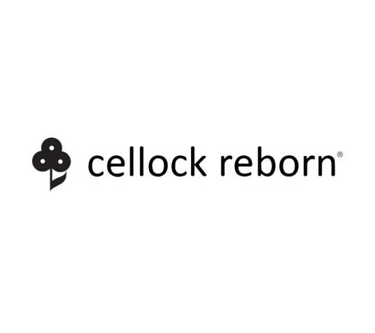 Cellock Reborn_百度百科