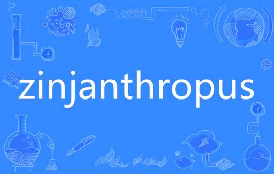 zinjanthropus_百度百科