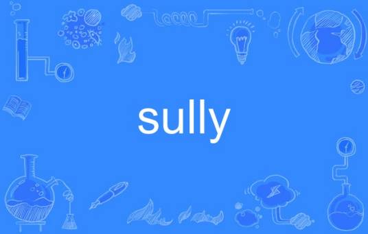 Sully（英语单词）_百度百科