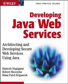 Developing Java Web Services_百度百科