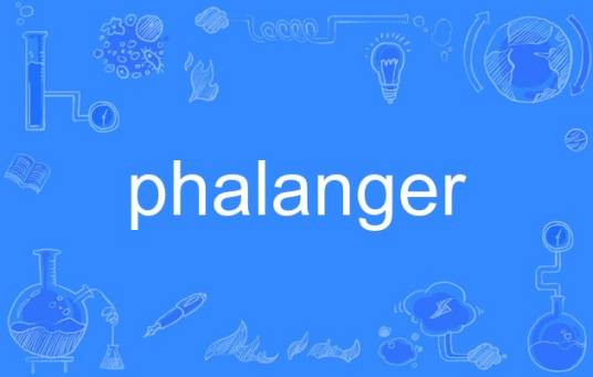 phalanger_百度百科