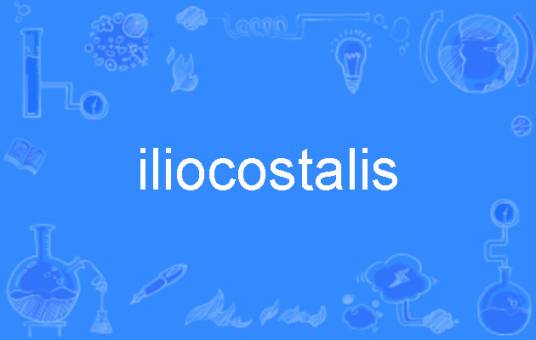 iliocostalis_百度百科