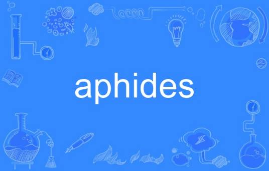 aphides_百度百科