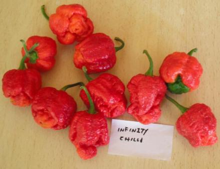 无限辣椒_百度百科