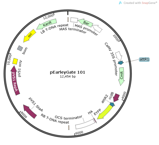 二元载体_百度百科