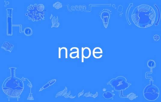 nape_百度百科