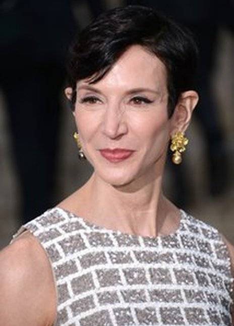 Amy Fine-Collins_百度百科