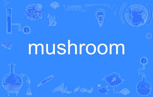mushroom（英语单词）_百度百科