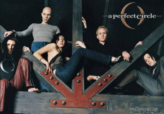 A Perfect Circle_百度百科