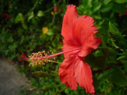 崇左市_百度百科