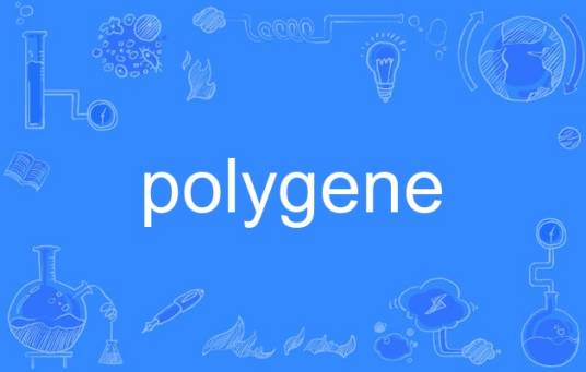 polygene_百度百科