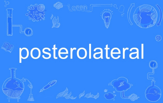 posterolateral_百度百科