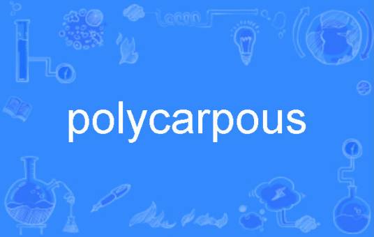 polycarpous_百度百科