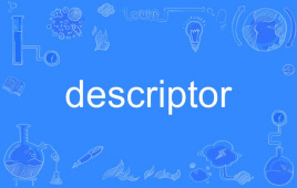 descriptor_百度百科