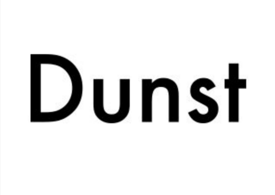 Dunst（服装品牌）_百度百科
