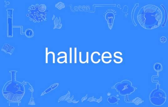 halluces_百度百科