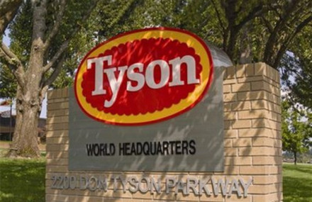 泰森食品_百度百科