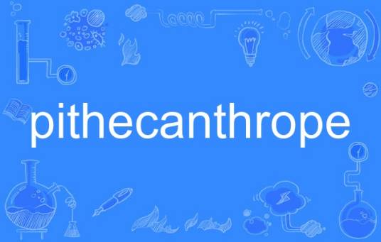 pithecanthrope_百度百科