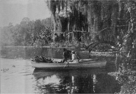 The Suwanee River_百度百科