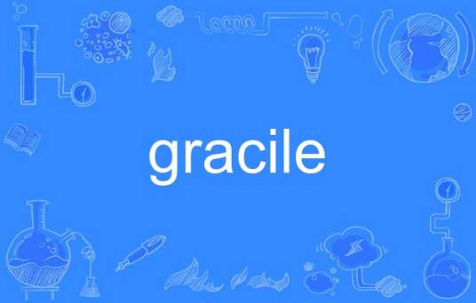 gracile_百度百科