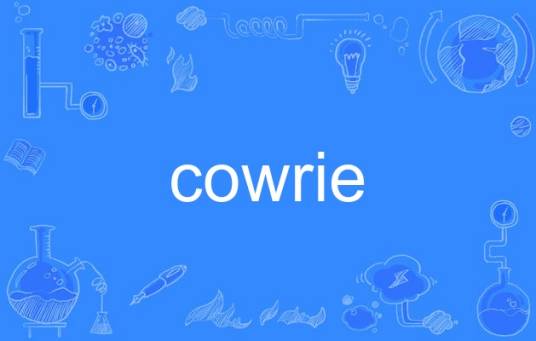 cowrie_百度百科