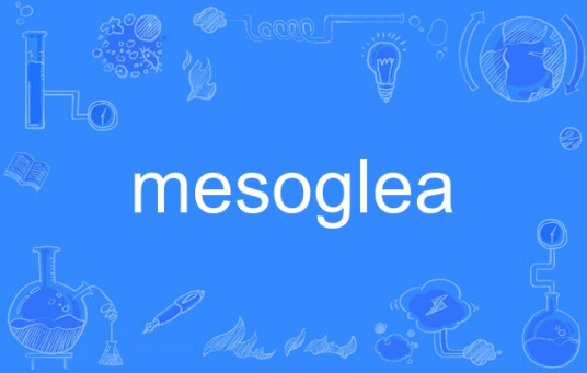 mesoglea_百度百科