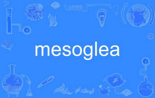 mesoglea_百度百科