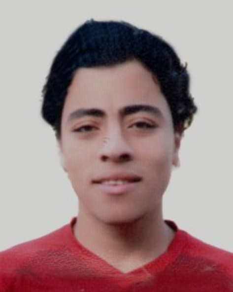 TAWFIK Akram_百度百科