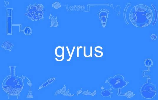 gyrus_百度百科
