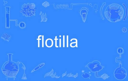 flotilla_百度百科