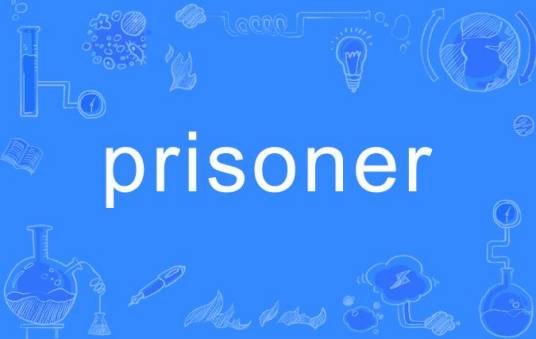 Prisoner（英语单词）_百度百科