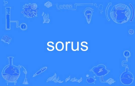 sorus_百度百科