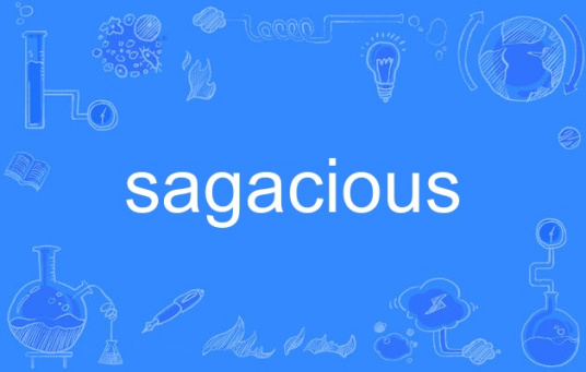 sagacious_百度百科