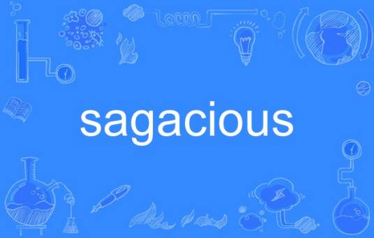 sagacious_百度百科