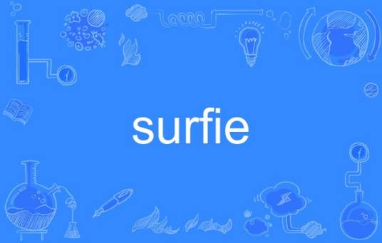 surfie_百度百科