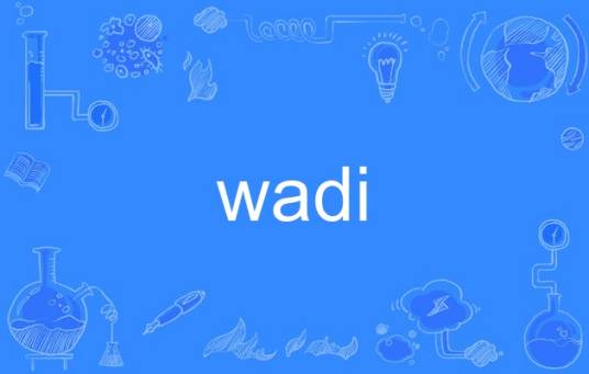 wadi_百度百科