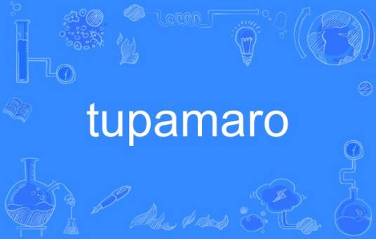 tupamaro_百度百科