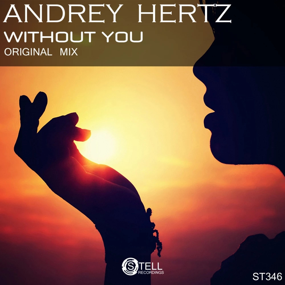 Without you（Avicii制作歌曲）_百度百科