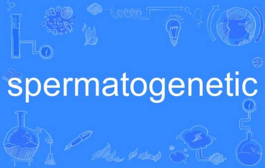 spermatogenetic_百度百科