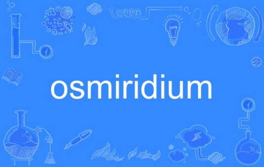 osmiridium（英语单词）_百度百科