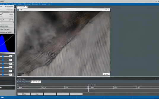 Digital Micrograph_百度百科
