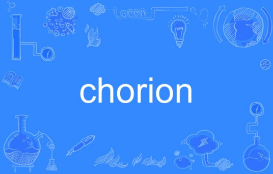 chorion（英语单词）_百度百科