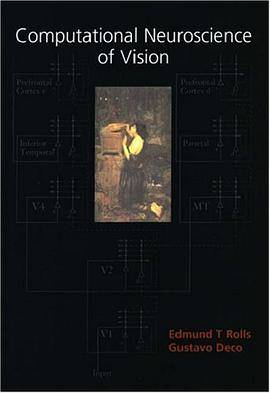 Computational Neuroscience of Vision_百度百科