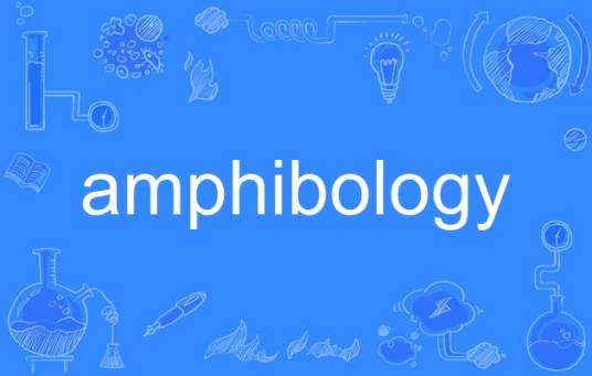 amphibology_百度百科