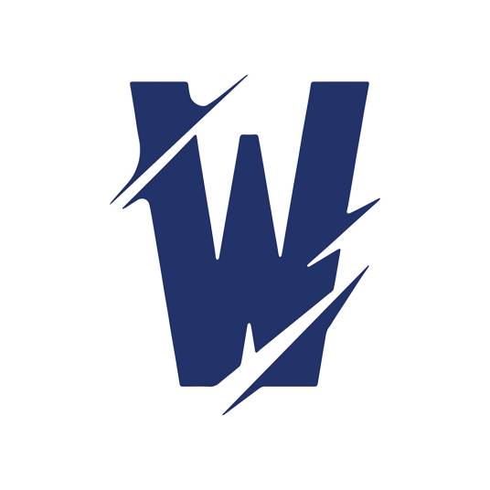 Team Whales_百度百科