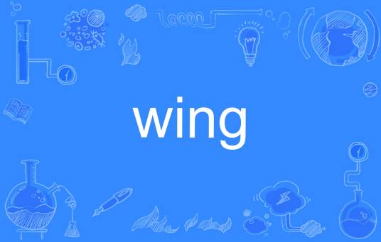 wing（英语单词，指鸟类等的翅膀或类似结构）_百度百科