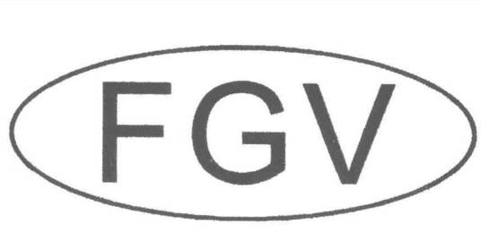 FGV_百度百科